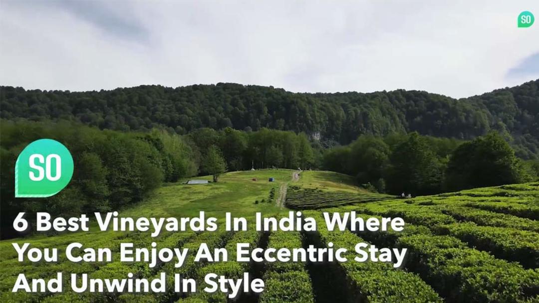 6 Best Vineyards In India For A Vacation - A List | So Delhi