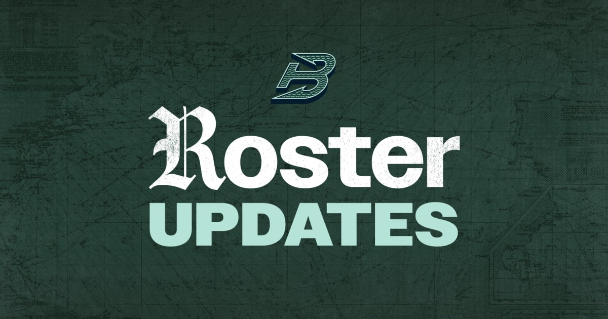 BOSTON FLEET ANNOUNCE TRAINING CAMP ROSTER UPDATES | PWHL ...