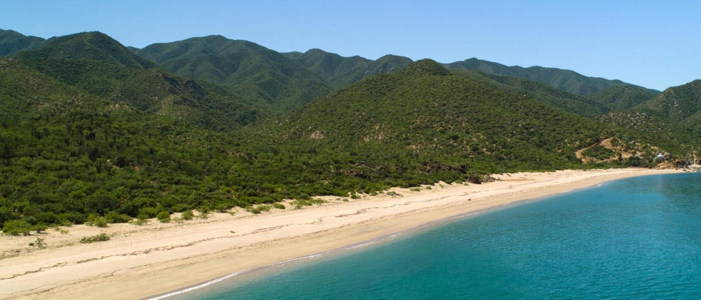 El Cardonal, Mexico Luxury Real Estate Property - Engel & Völkers