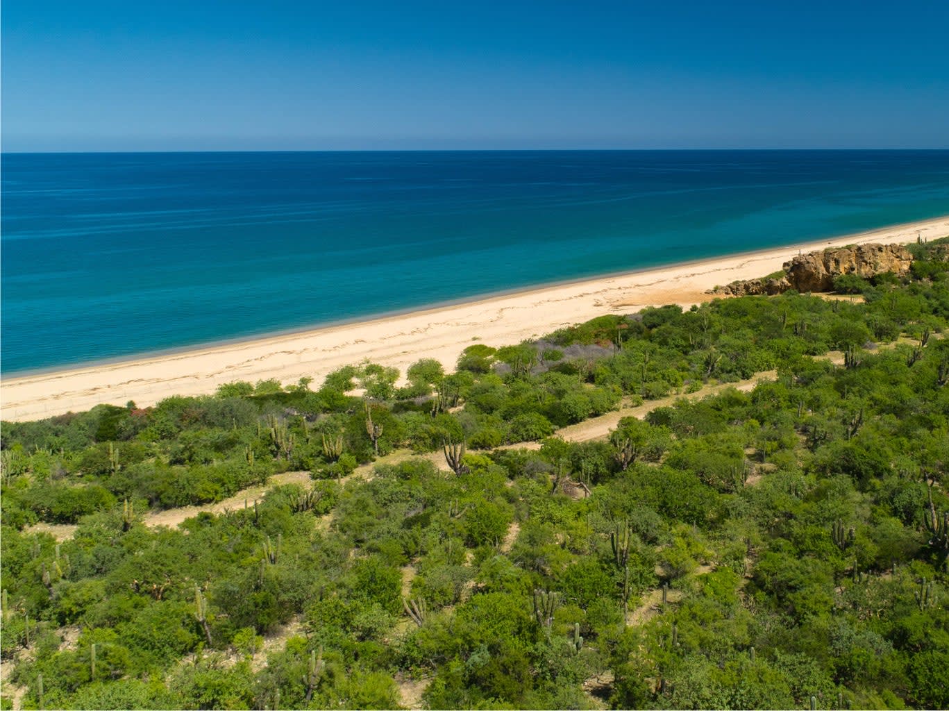 El Cardonal, Mexico Luxury Real Estate Property - Engel & Völkers