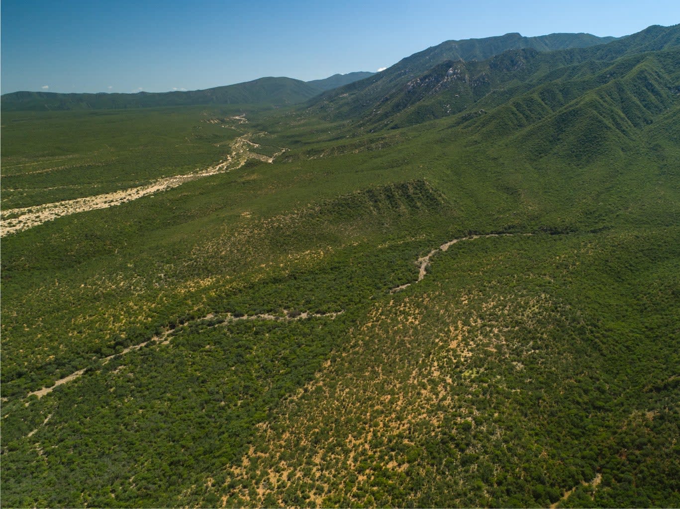 El Cardonal, Mexico Luxury Real Estate Property - Engel & Völkers