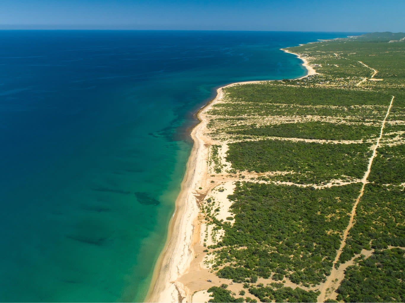 El Cardonal, Mexico Luxury Real Estate Property - Engel & Völkers