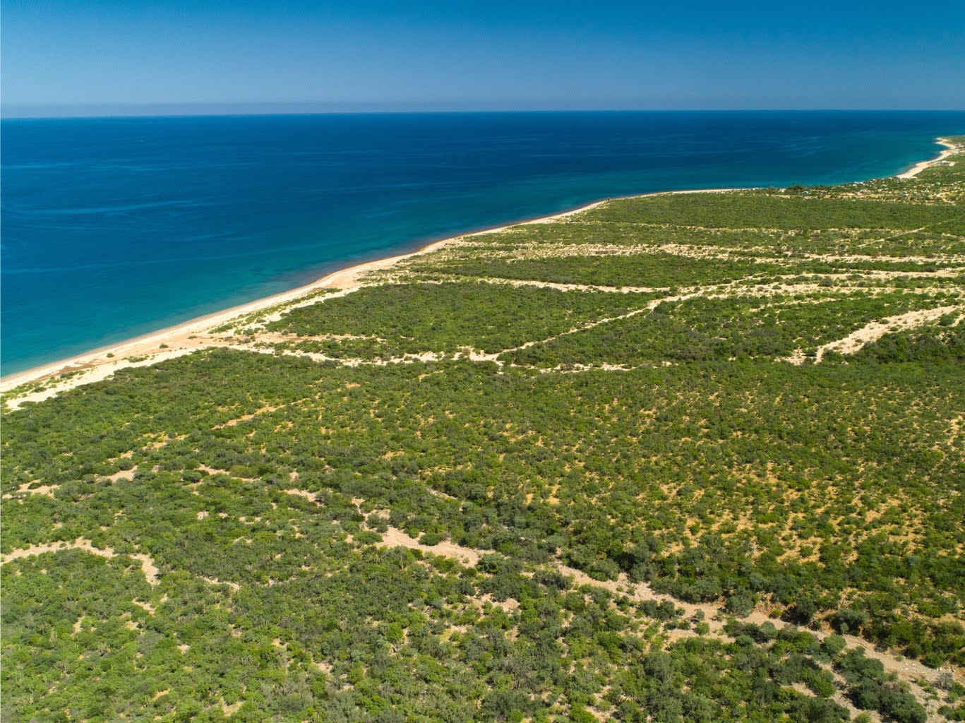 El Cardonal, Mexico Luxury Real Estate Property - Engel & Völkers