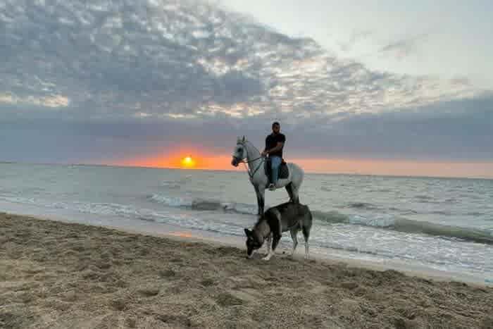 Horseback Riding on the Sea - QiDZ