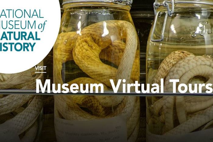 Virtual Tour: Natural History Museum - QiDZ