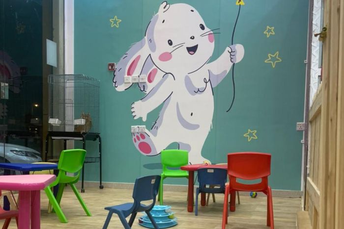 White Rabbit Pet Store & Kids Corner - QiDZ