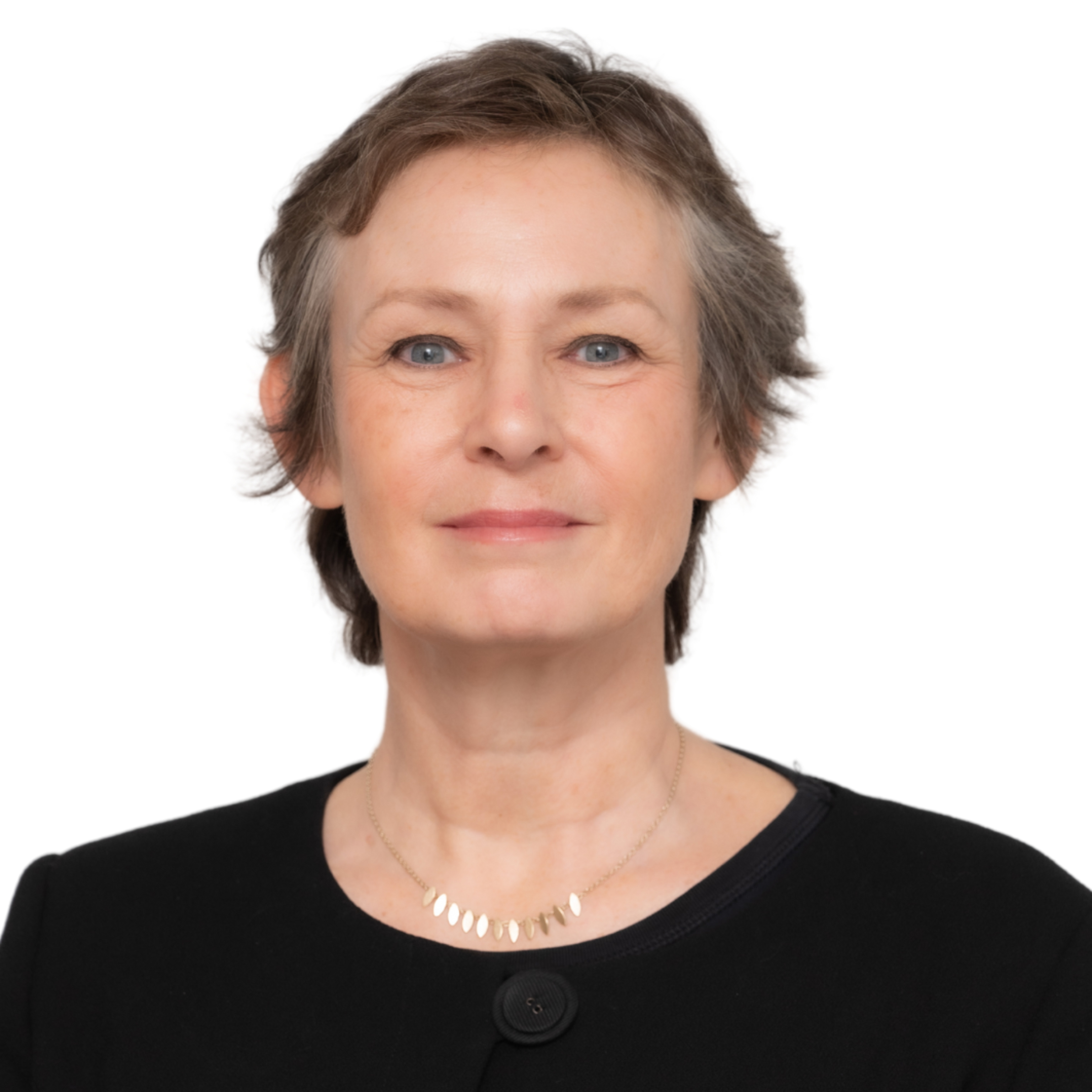 Home ~ Blundell Lectures 2024