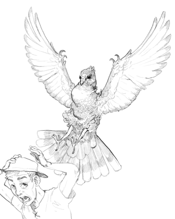 Dire Pigeon - Questiary - Illustrated Boss Monsters for 5e