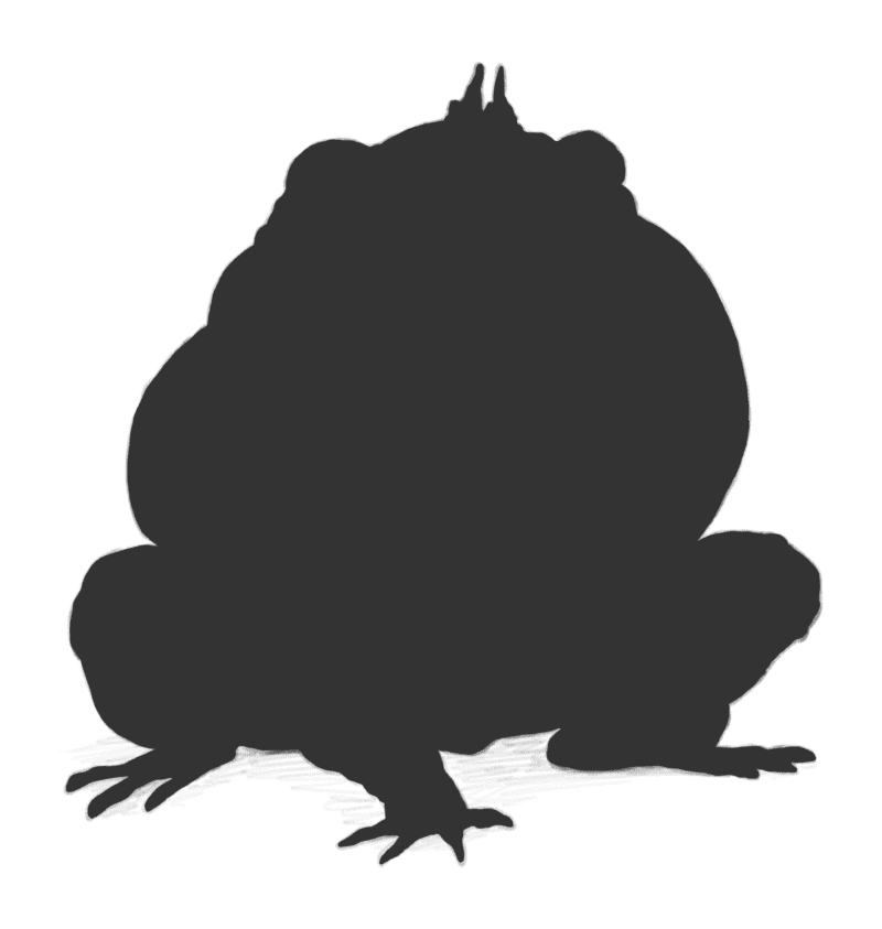 Iron Toad - Questiary - Illustrated Boss Monsters for 5e