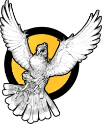 Dire Pigeon - Questiary - Illustrated Boss Monsters for 5e