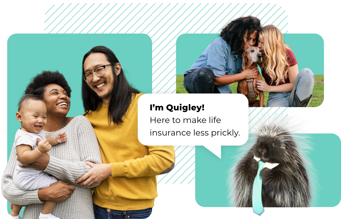 Quility | Life Insurance in 10 Minutes or Less