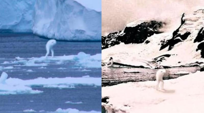 Japanese Sea Monster Ningen