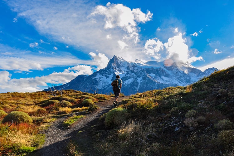 W Trek Patagonia Chile (12 Day)