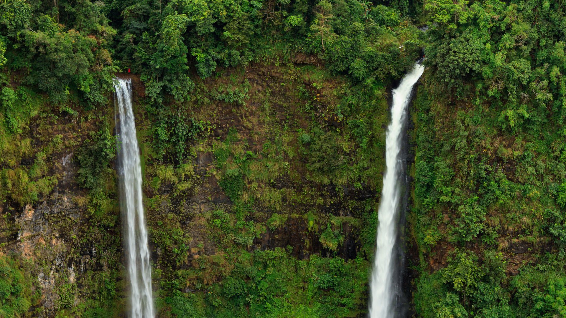 The 7 Best Things To Do In Laos - Rainforest Cruises
