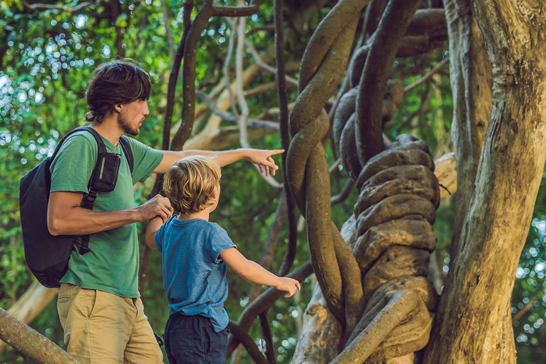 Visiting The Amazon Rainforest With Kids - Rainforest Cruises