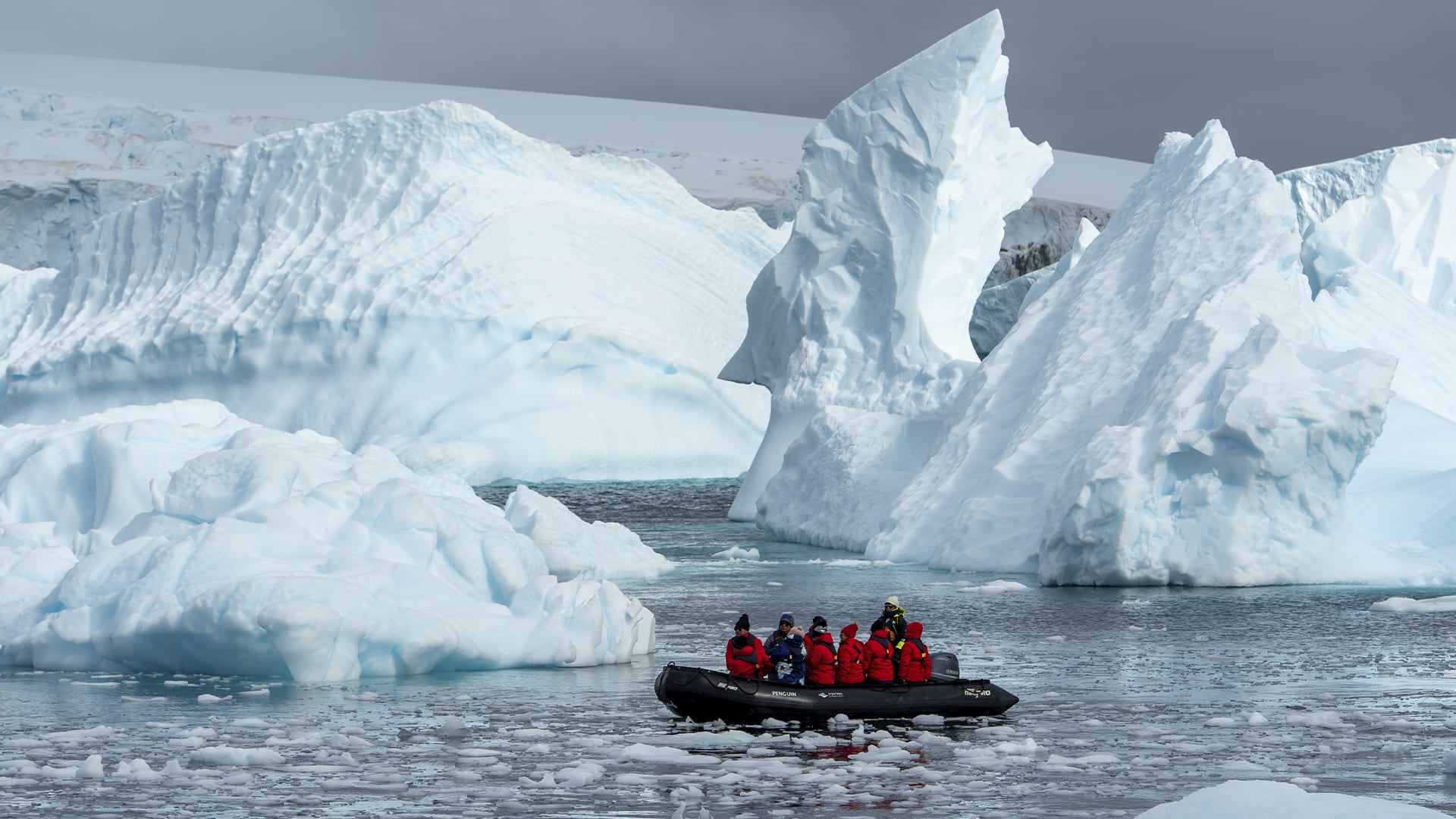 Epic Falkland Islands, South Georgia & Antarctica 19D Cruise