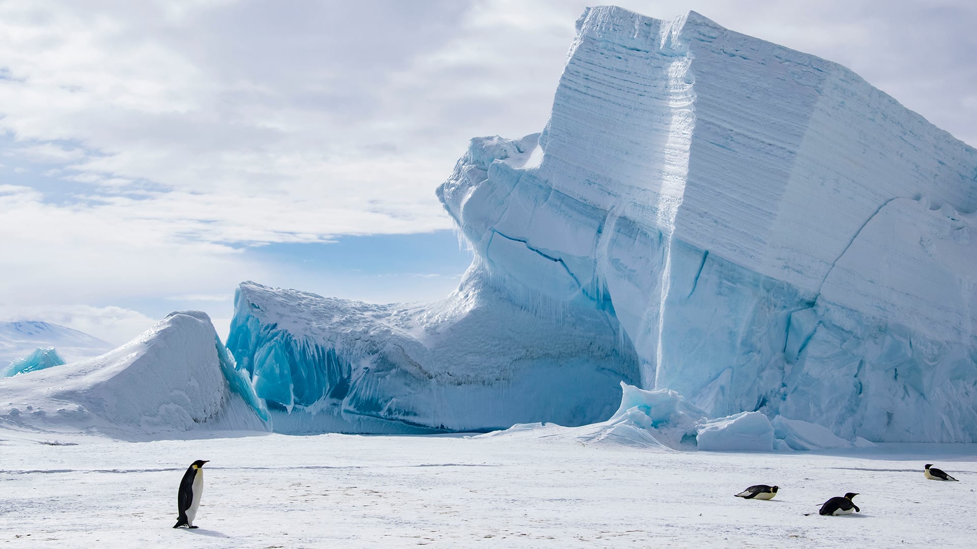 Antarctica Active (All Inclusive Activities) 15-Day Cruise