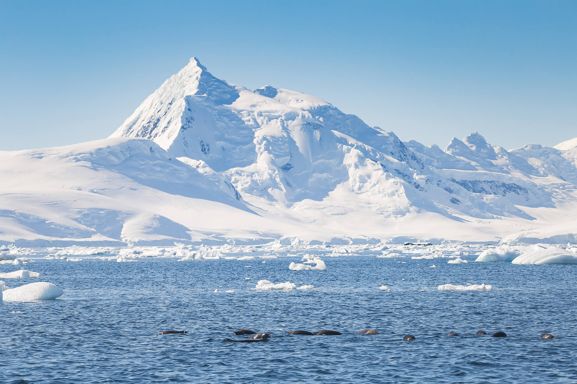 Landmarks From Antarctica Famous Landmarks Of Antarctica