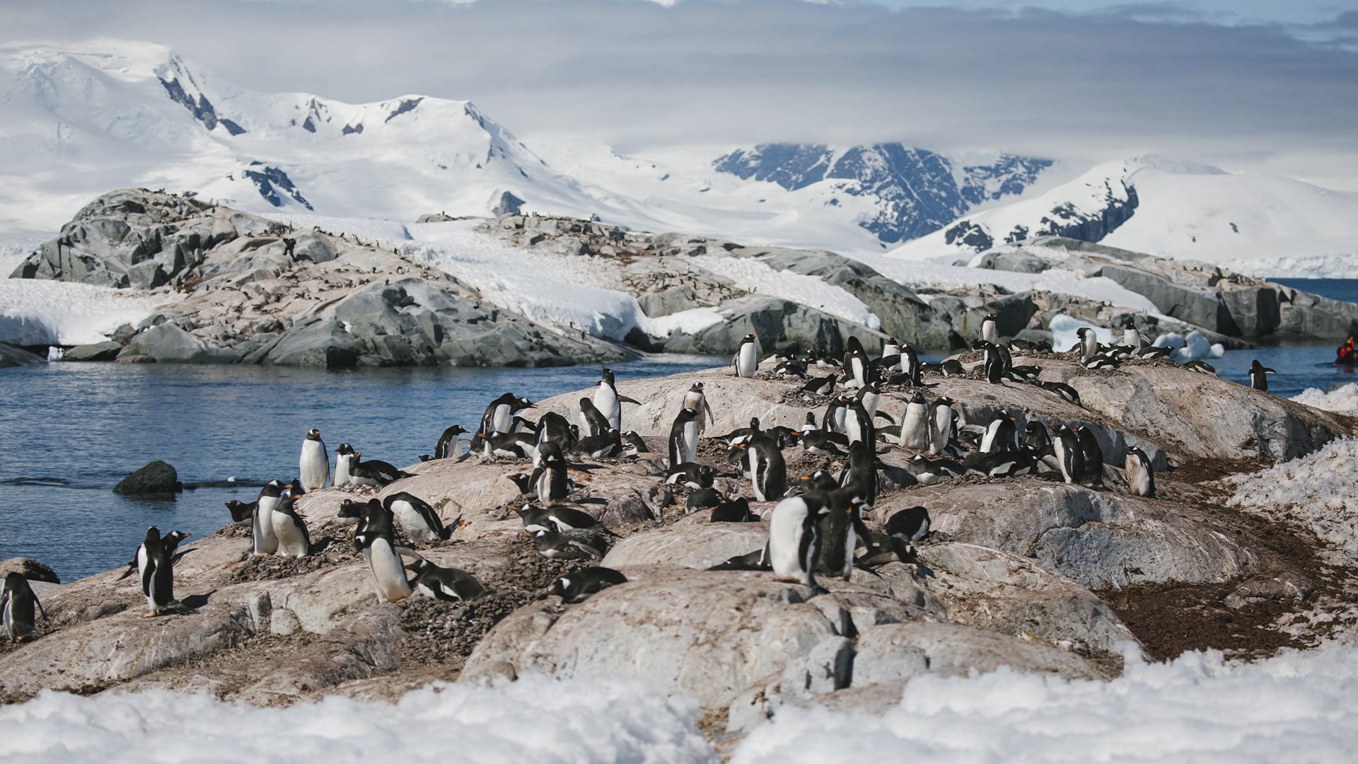 Crossing 66º South Latitude | Antarctica Cruises