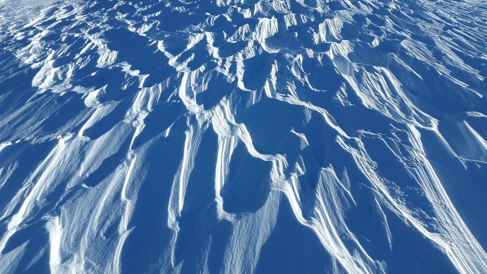 Sastrugi: The Windswept Snow Dunes Of Antarctica