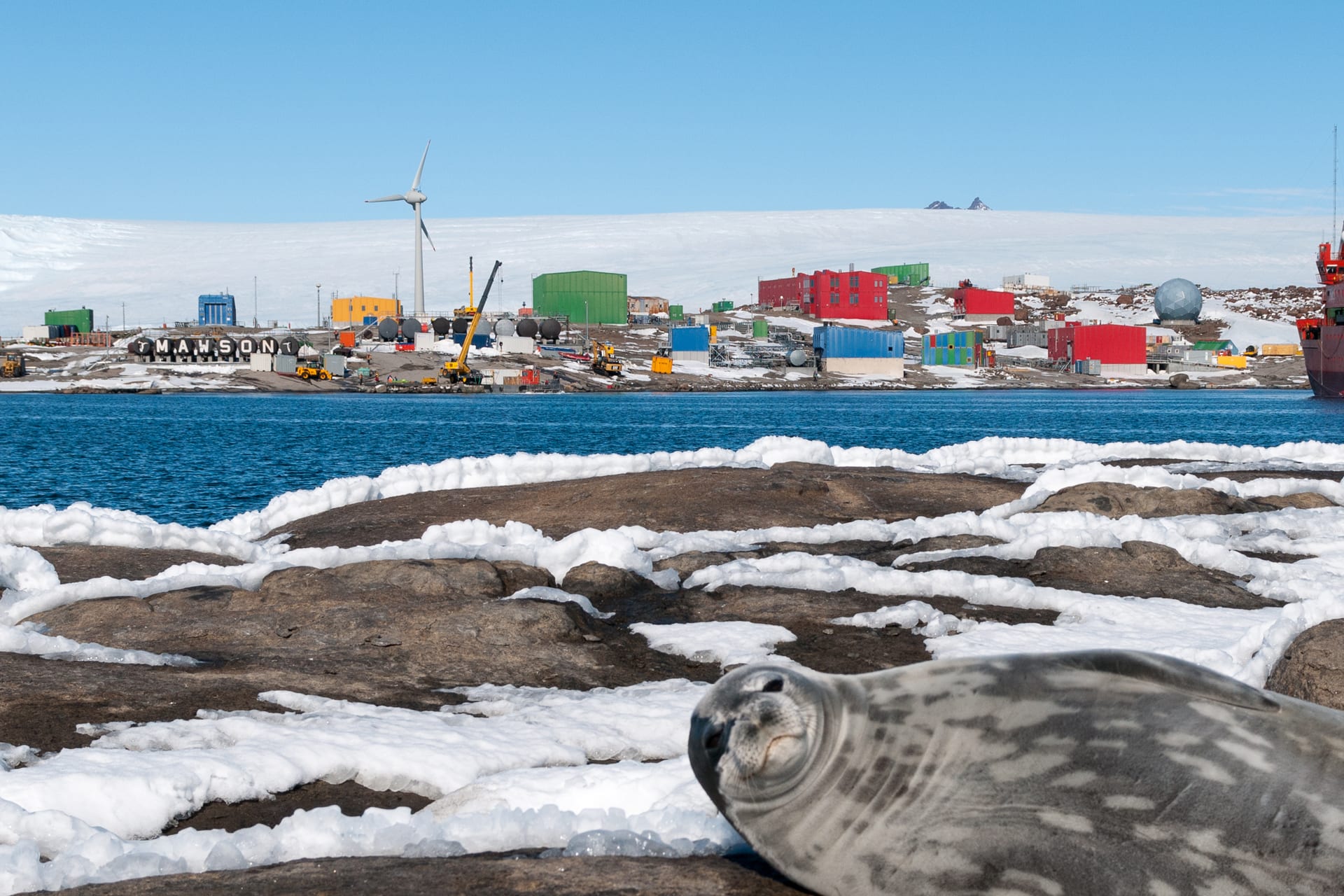 Do People Live In Antarctica? Population, Cities & Houses | Antarctica ...