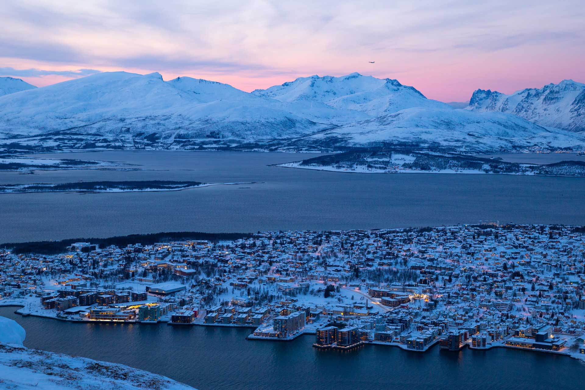 arctic producers list