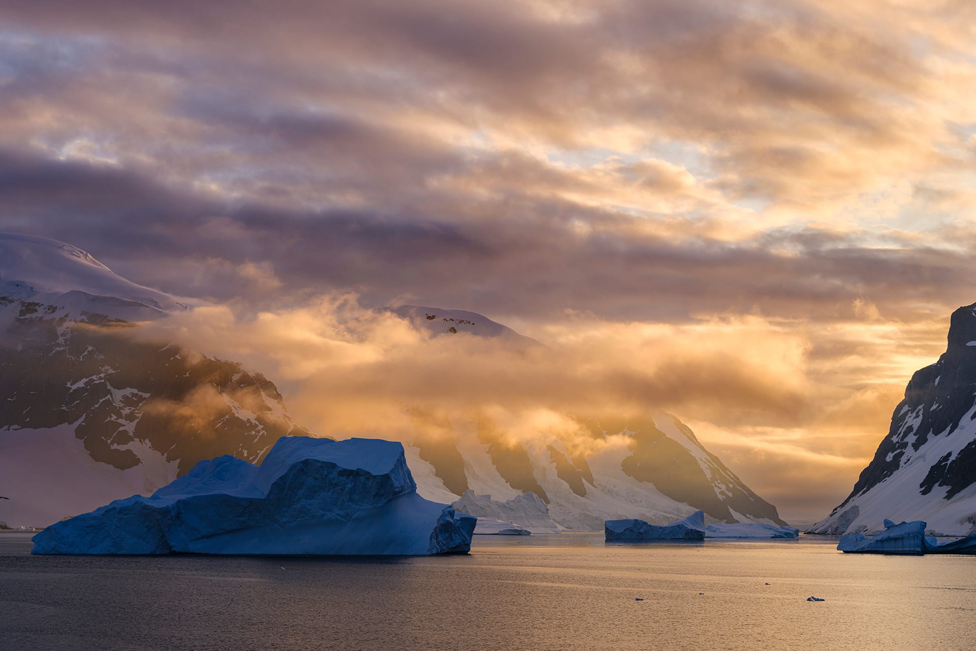 Micro Fly Cruise de Primavera Antártica – Navega Solo en un Sentido ...