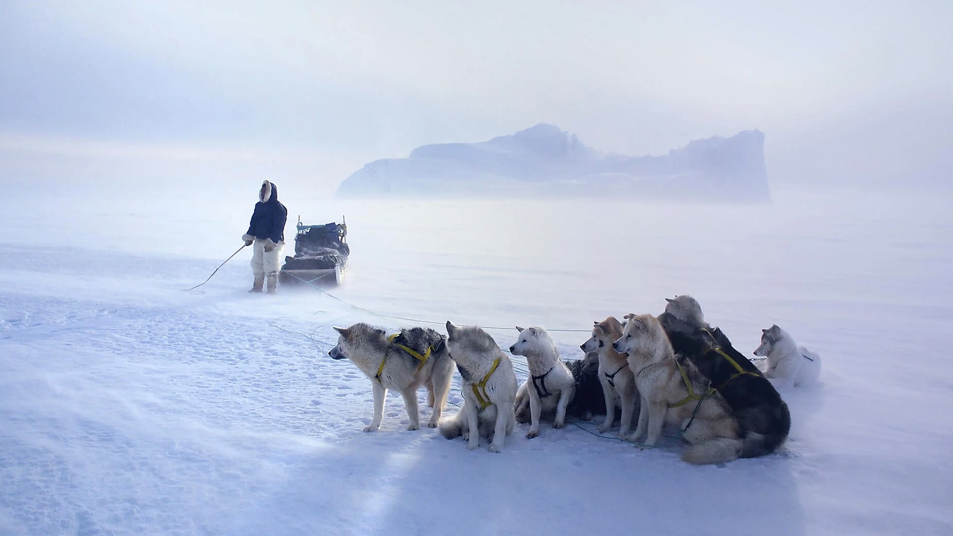 Encounter With The Last Guardians Of The North Pole