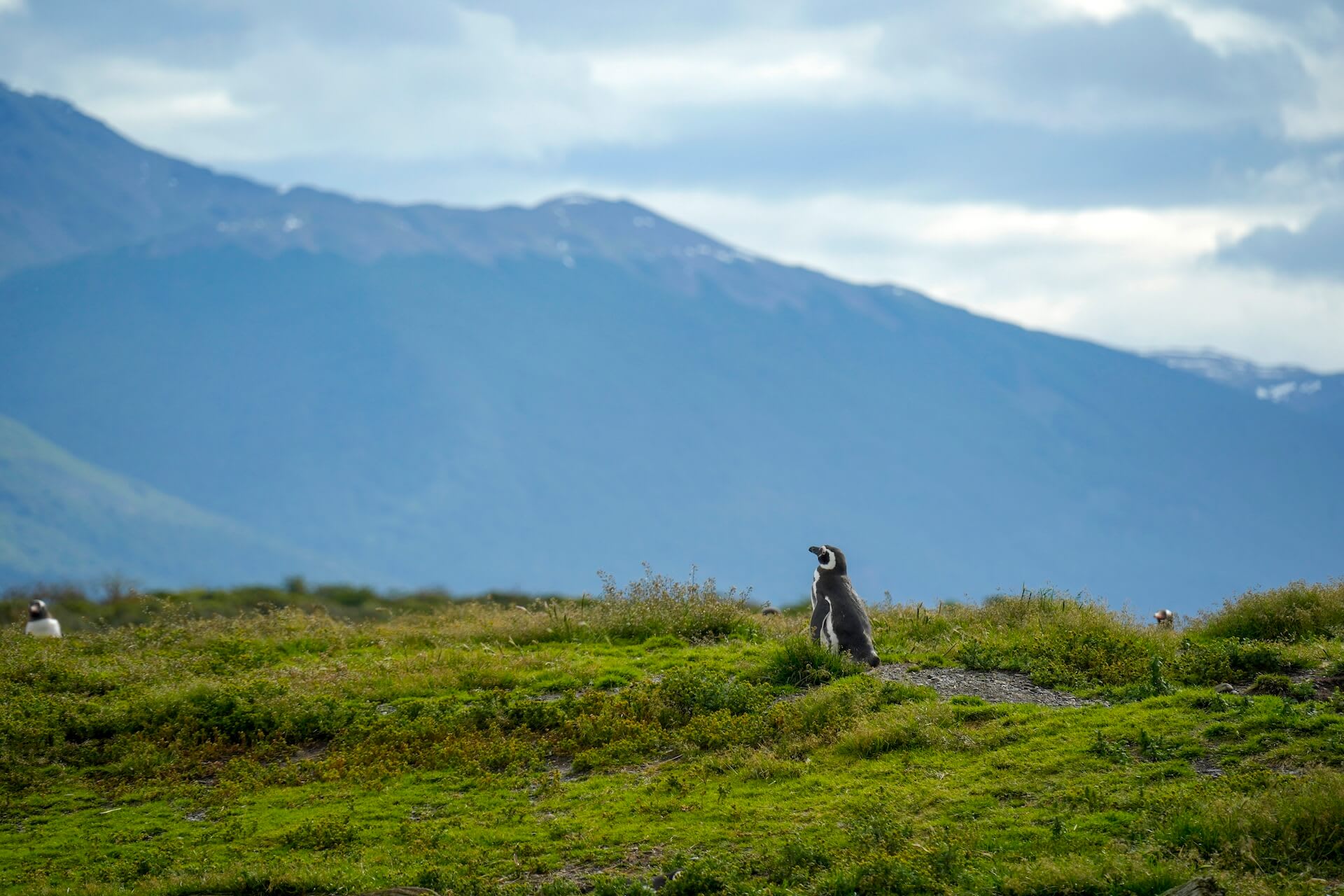 The Beagle Channel: Where Evolution Began And Borders Meet