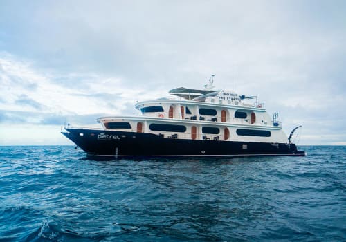 MV Santa Cruz II Galapagos Cruise | Ship Cabins, Dates, Prices 2022/23 ...
