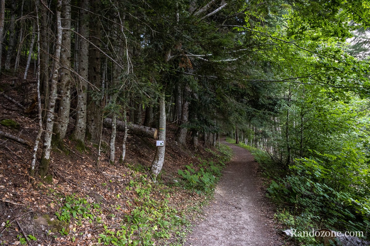 Gresse en Vercors - Richardière - Les Nonnières