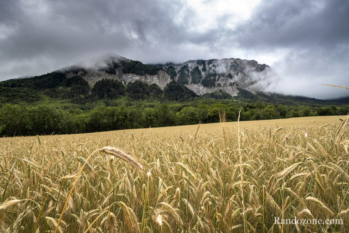 Gresse en Vercors - Richardière - Les Nonnières