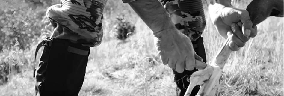 RangeWorks - Firearms Range & Training Discovery