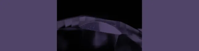Diamond Blemishes: Extra Facet | Rare Carat