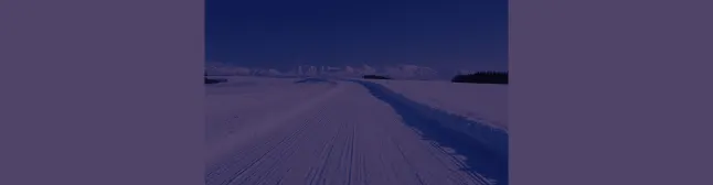 Diamond Inclusions: Internal Graining | Rare Carat