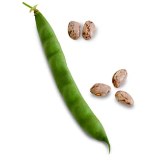 Greasy Grits Bean Seeds | Baker Creek Heirloom Seeds