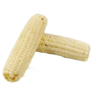 sweet corn white background