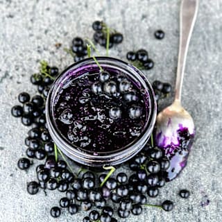 Chichiquelite Huckleberry Seeds | Baker Creek Seeds