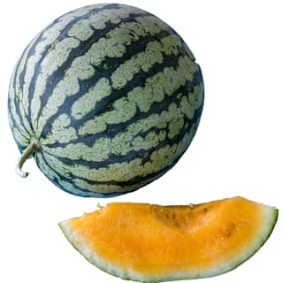 white watermelon