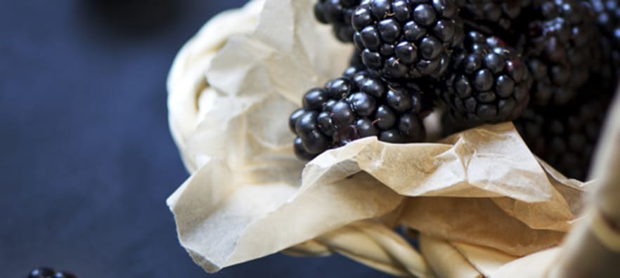 How to Grow Boysenberry Plants | Baker Creek Heirloom Seeds