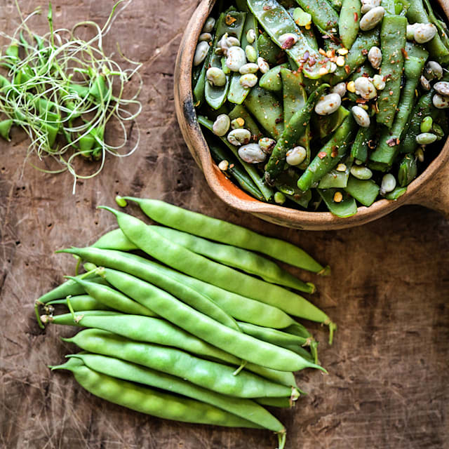 Greasy Grits Bean Seeds | Baker Creek Seeds