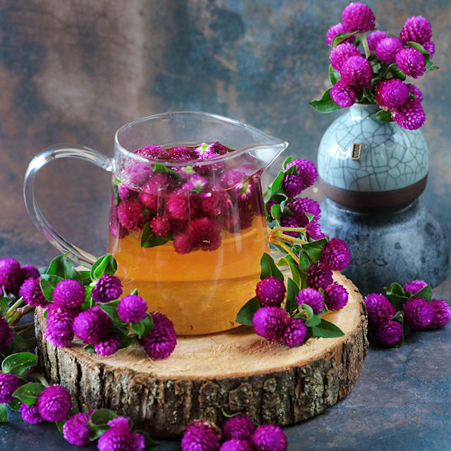 Buddy Purple Gomphrena | Baker Creek Heirloom Seeds