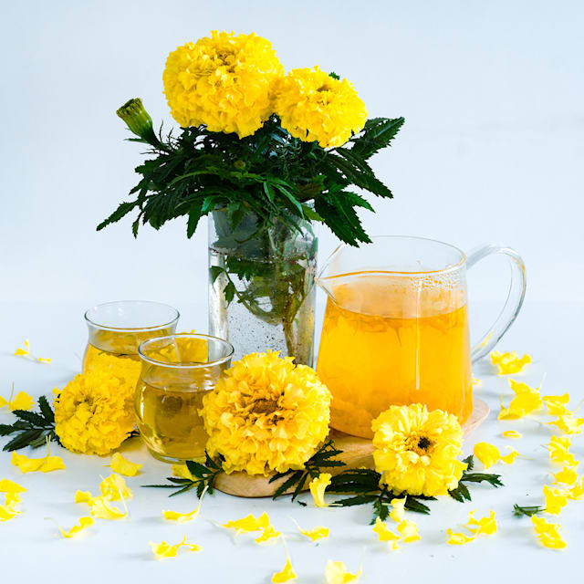 Dune Yellow Marigold Seeds | Baker Creek Heirloom Seeds