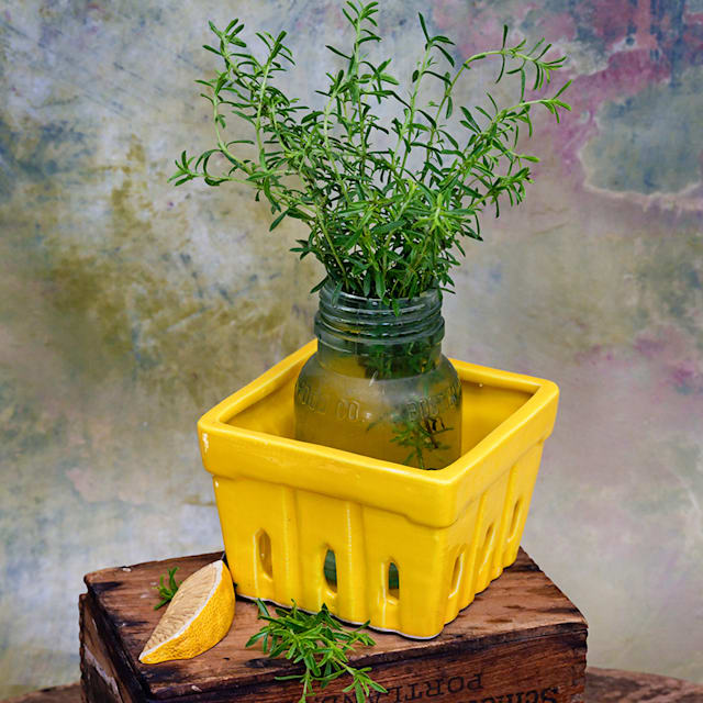 Lemon Savory Seeds | Rareseeds