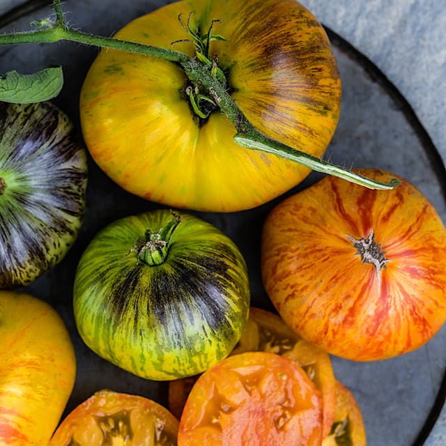 Alice's Dream Tomato | Baker Creek Heirloom Seeds