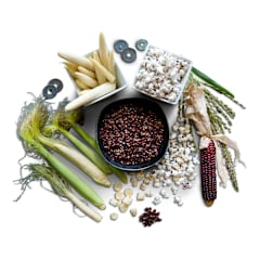 Chires Baby Corn Seeds | Baker Creek Heirloom Seeds