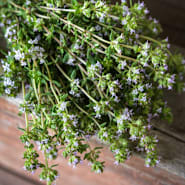 thyme seeds bulk