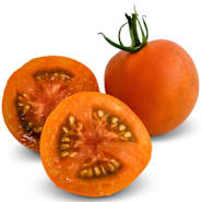 orange tomatoes