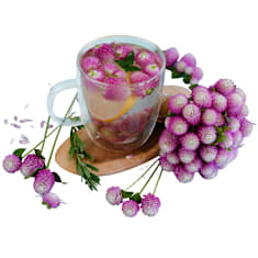 Buddy Purple Gomphrena | Baker Creek Heirloom Seeds