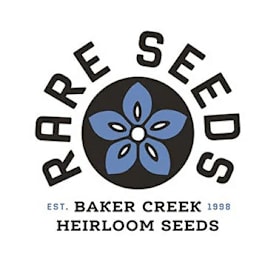 Winter Sun (Wintersonne) Beet Seeds | RareSeeds.com